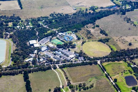 Aerial Photography Dromana - Airview Online